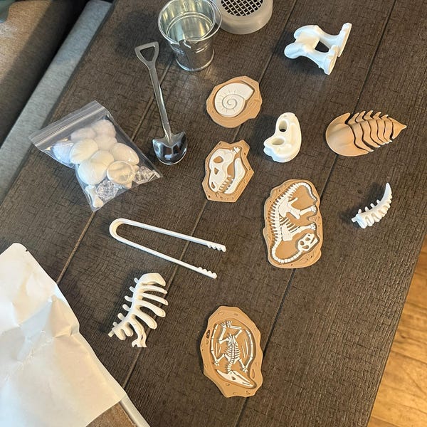 Dinosaur Fossil Dig Sensory Bin - Montessori Excavation Activity Kit ...