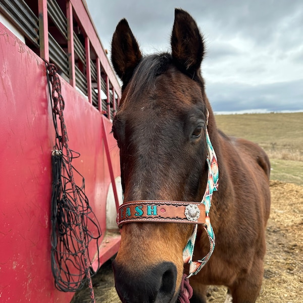 Personalized Aztec Print Horse Halter - Etsy