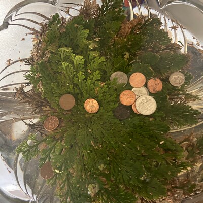 Protection combat Bundle for Spiritual Combat & Warding and Protection ...