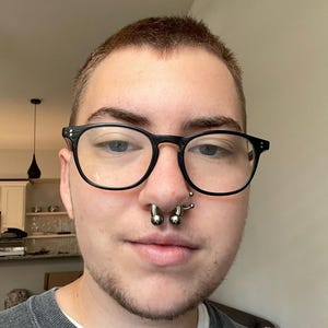 HALF GOLD / SILVER 4G, 5G, 6G, 7G, 8G, 10G, or 12G Anodized Astm F136 ...