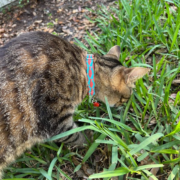 Fish Cat Collar With Bell and Charm, Cute Boy Cat Breakaway Collar ...
