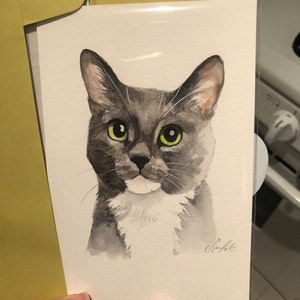 MINI Pet Portraits Simple Custom Pet Portrait. Animal Watercolor ...