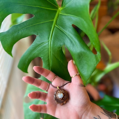 Stained Glass Effervescent Snail Plant Stake - Etsy