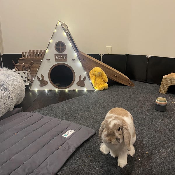 Modern Rabbit House, Wooden Rabbit Castle, Rabbit House, Rabbit Castle ...