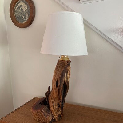 Beautiful Log Lamp, Tree Branch Table Lamp - Etsy