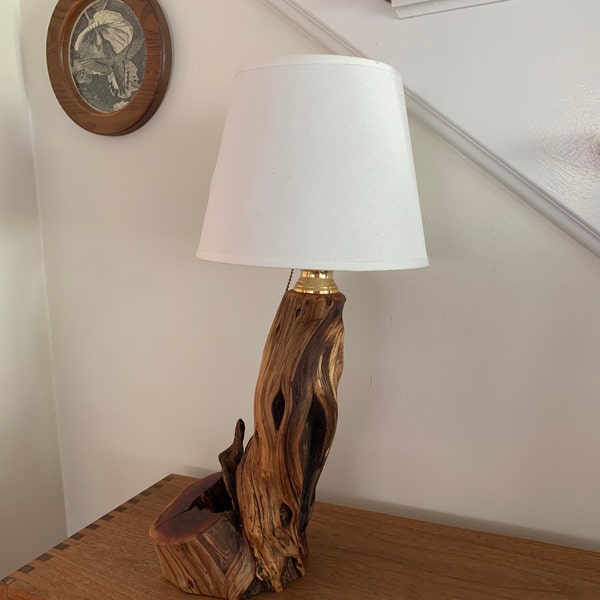 Extremely Rare, One of a Kind! Rustic Tree Branch Table Lamp for ...