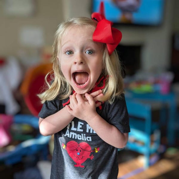 Rubber Ducky Isopod From Felt Realistic Roly Poly Duck Felted Isopod ...