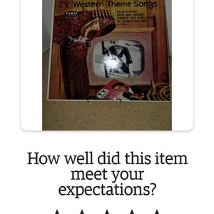 Flyded Sprayer 1930's Insect Sprayer - Etsy