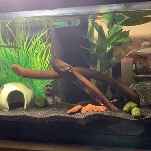 Small Fish Hide MADE TO ORDER Betta Fish Cave Small - Etsy