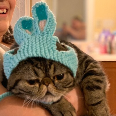 Bunny Cat Hat, Mint Bunny Hat, Rabbit Ears Cat Hat, Easter Cat Hat, Hat ...