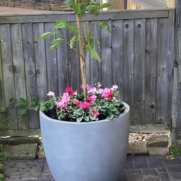Large Tall Plain Terracotta & Fibreglass Handmade Garden Pots Planter ...