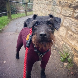 24mm Synthetic Hemp Climbing Rope With Thimble and Shackle Kids ...