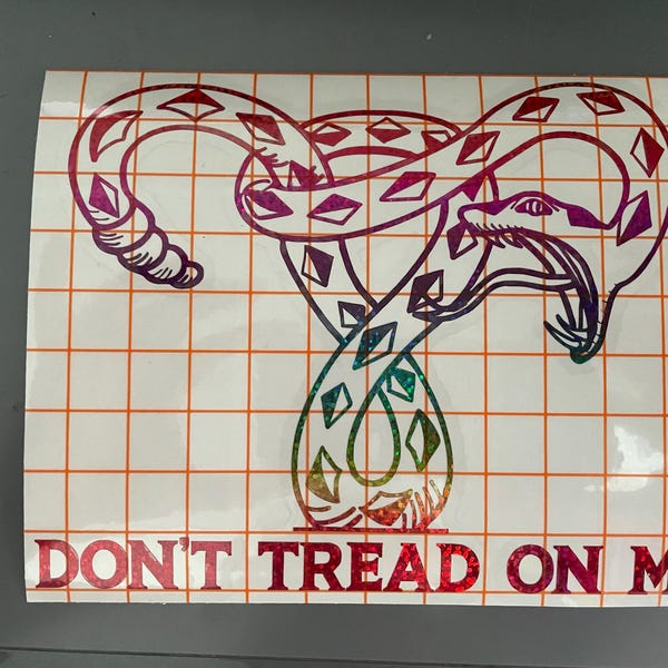 Passenger Princess Door Frame Custom Decal - Etsy