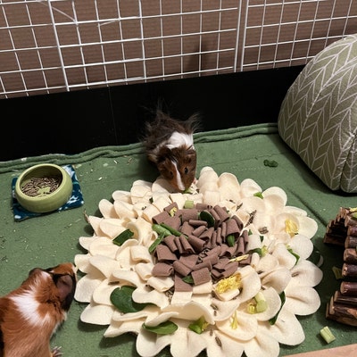 Pink Flower Snuffle Mat for Rabbits, Guinea Pigs, Dogs and Other Pets ...