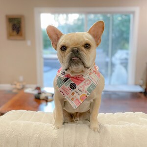 Pet Cancer Awareness Ribbon Blue Bandana I'm Beating Cancer or Hug Me I ...