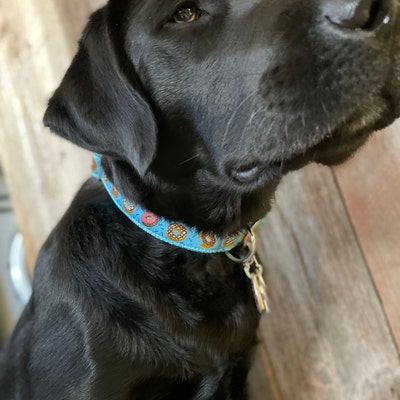 Dog Collar Tractor Dog Collar Farm Dog Collar 1 Metal - Etsy