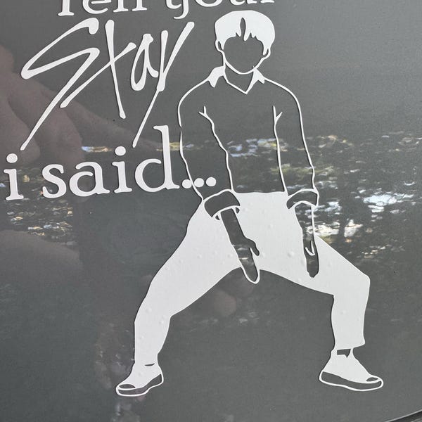 Stray Kids STAY Pose Decal - Etsy