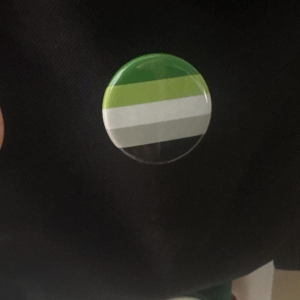 Acespec & Arospec Pride Flags 1.25 Inch Accessories - Pins, Magnets ...