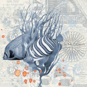 Dark Wall Art Fish Print Nautical Prints Black Background | Etsy