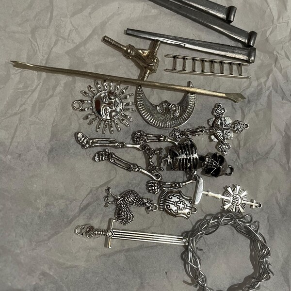 Large Rose of Jericho Resurrection Plant Rosa De Jerico Reviving House ...