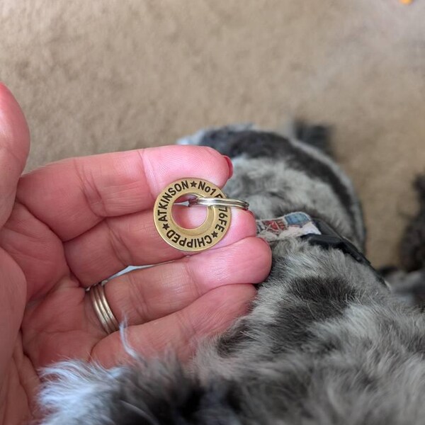 Funky Design 40mm Large Dog ID Disc Tag. Stainless Steel Washer Style ...