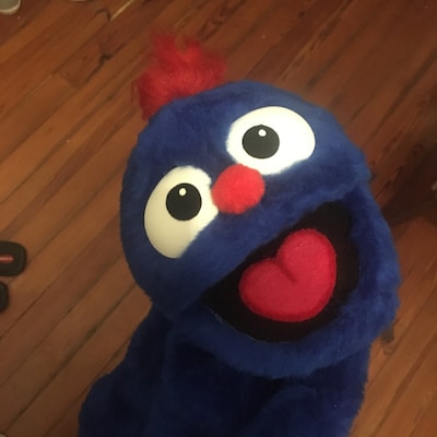 Live-hands Practice/training Puppet BLUE - Etsy