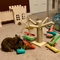Tree Rabbit Toy - Etsy