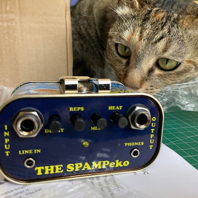 THE SPAMP PLUS Guitar Practice Amplifier and Distortion Effect - Etsy