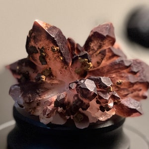 Authentic K-T Boundary kpg Boundary Sediment Layers - Etsy