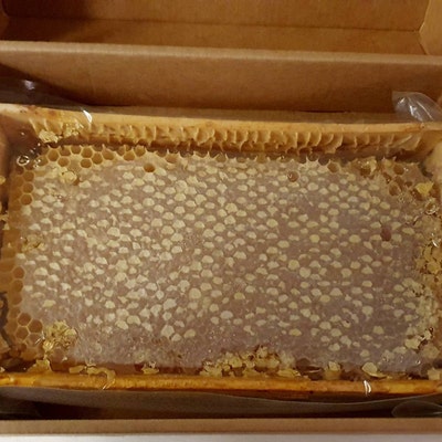 Pure Raw Honeycomb of Wildflowers 800g - Etsy