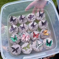 Cakeshop 12 X PRE-CUT Blue Butterfly Edible Cake Toppers BT065 - Etsy