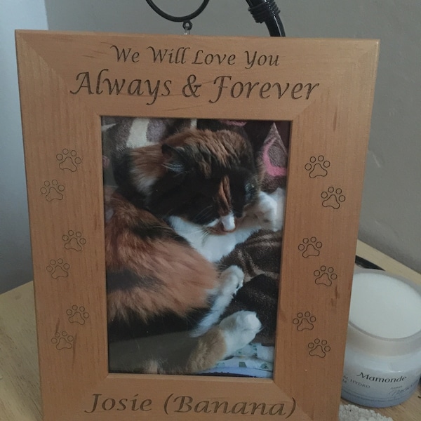 Cat Memorial Frame, Pet Loss Gifts, Cat Picture Frame, Picture Frames ...