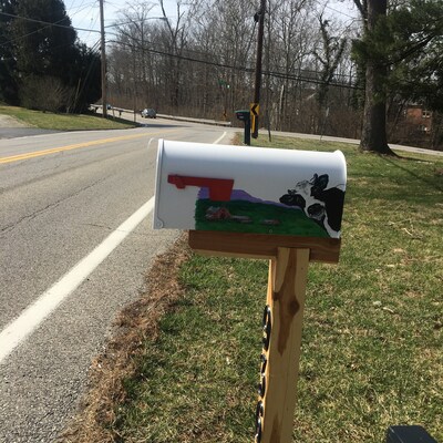 Hand Painted Mailbox Loon Mailbox Original Art Custom - Etsy