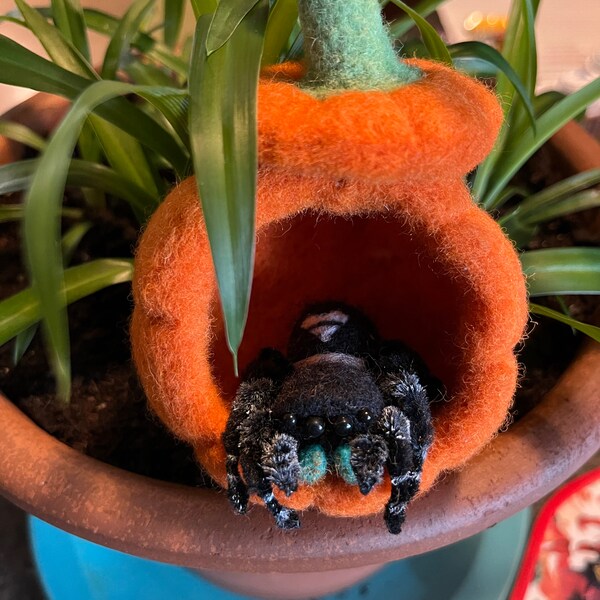Needle Felted Jumping Spider Sculpture, Poseable Wool Toy - Etsy