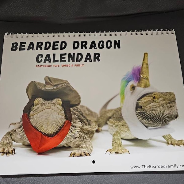 Bearded Dragon Art Prints - "rainbow Sunset" - Vibrant Reptile ...