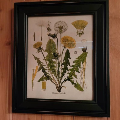 Nautical Knots Poster, Old Boating and Sailing Knot Chart, Premium ...