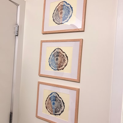 TREE RING ART Print, Tree Ring Print, Set of 6 Prints, Log Print Tree ...