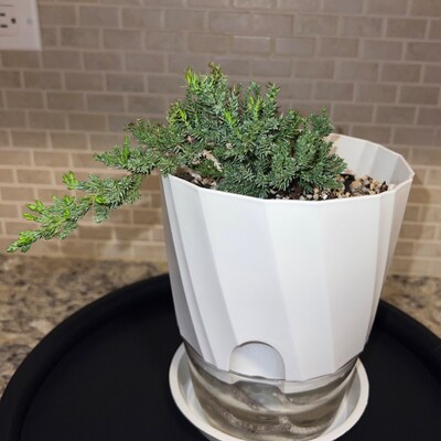 Ceramic Humidity / Drip Tray for Bonsai Pot 8 Inch Tray - Etsy