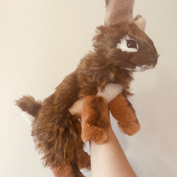 Made to Order NOT in Stock Life-size Common Genet Plush Made of Luxury ...