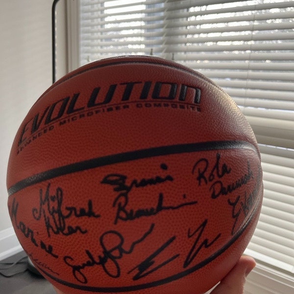 Customized Personalized Wilson Evolution Basketball Indoor Sizes 29.5 ...