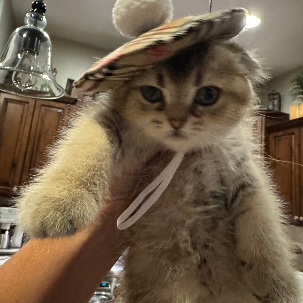 Costume for Cat, Beret Hat and Bowtie Set, Cat Outfit, Cat Bow Tie, Cat ...