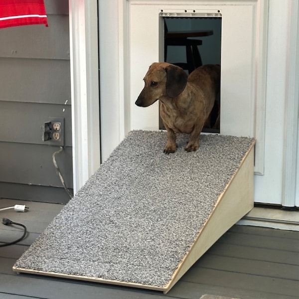 Outdoor Pet Ramp for Dogs or Cats. Great Gentle Angle for Ease of Use ...