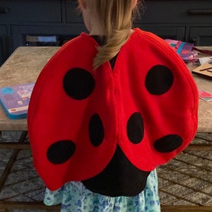 Ladybug Costume, Toddler Girl Halloween Costume, Ladybird Red Cape ...