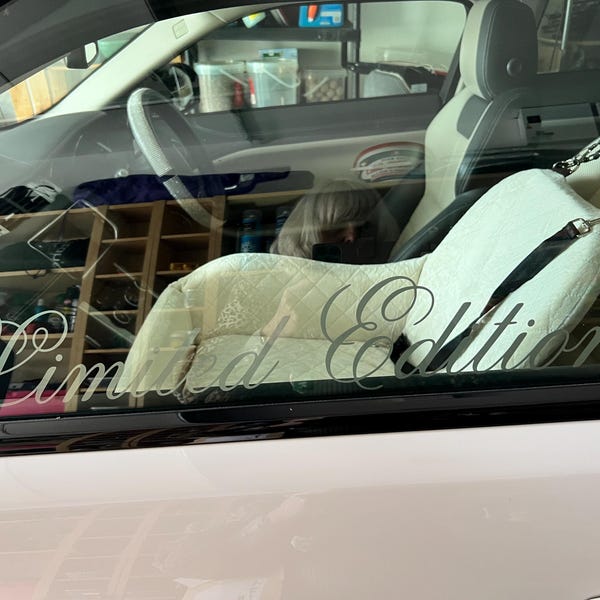 Hello Spring Shop Window Sticker Vinyl Decal Retail Display - Etsy