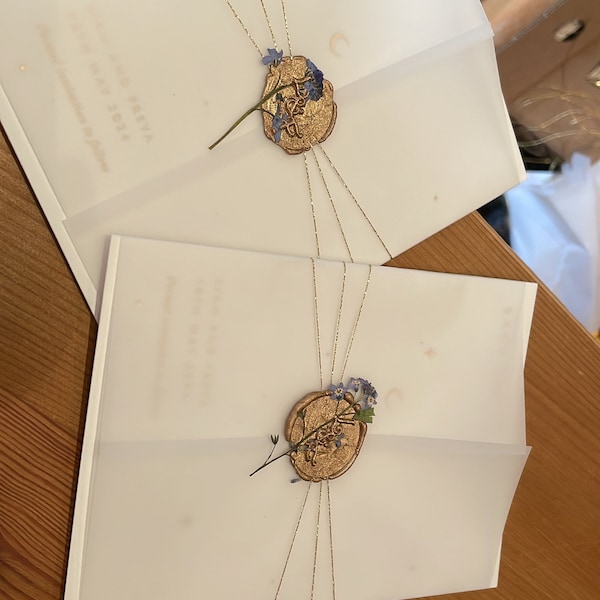 Pressed Real Dry Forget Me Not Flower, Pressed Blue Forget Me Not ...