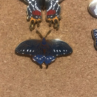 Pipevine Swallowtail Butterfly Enamel Pin - Etsy