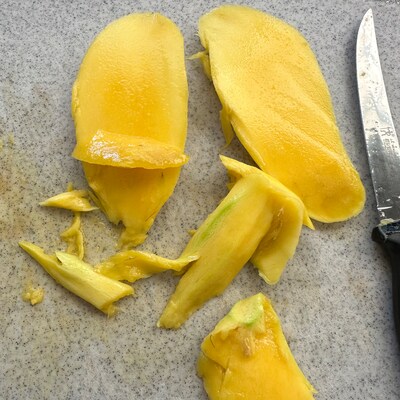 Fresh Whole Burdock Root, Gobo Root - Etsy