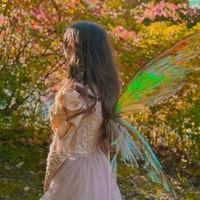 MINI MAB FAIRY Wings Custom Order for Mini Wings - Etsy Canada