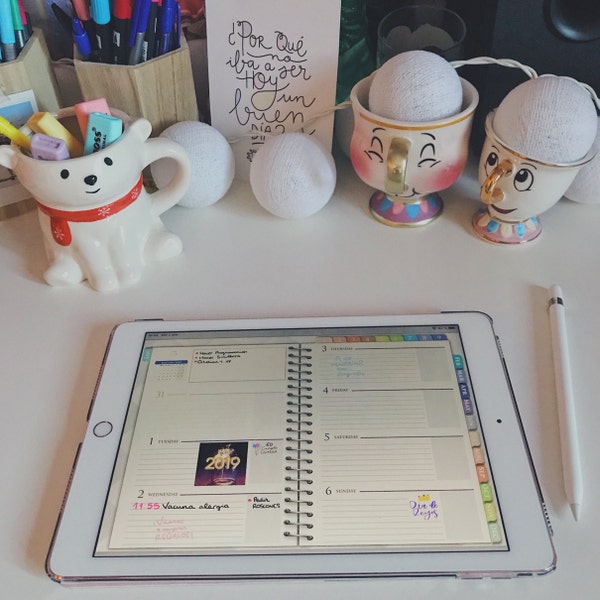 Digital PDF Weekly Planner for iPad Pro Air Mini 2025 to 2026 ...