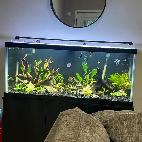 Nano Hardscape Setup: Beach Stones and Pebbles | Aquarium Aquascape ...
